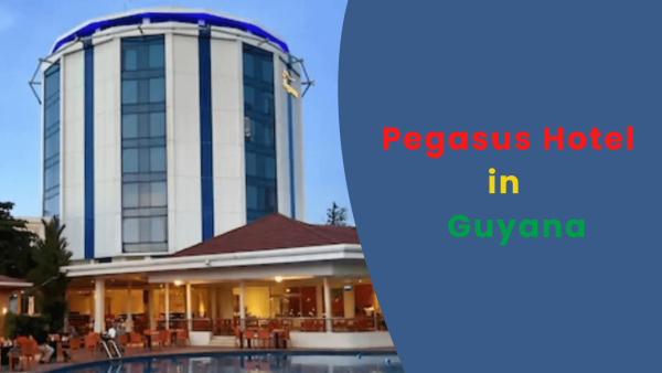 Exploring ALL Area Codes for Guyana: A 592 Guide